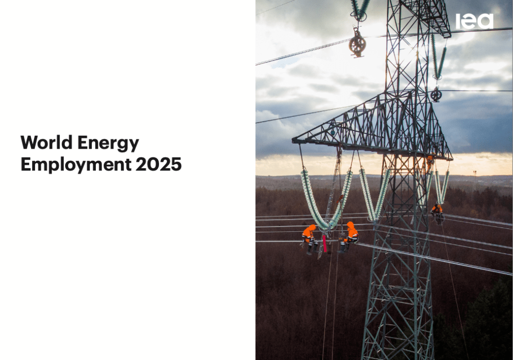 New IEA report on employment in the global energy sector – Energy in ...